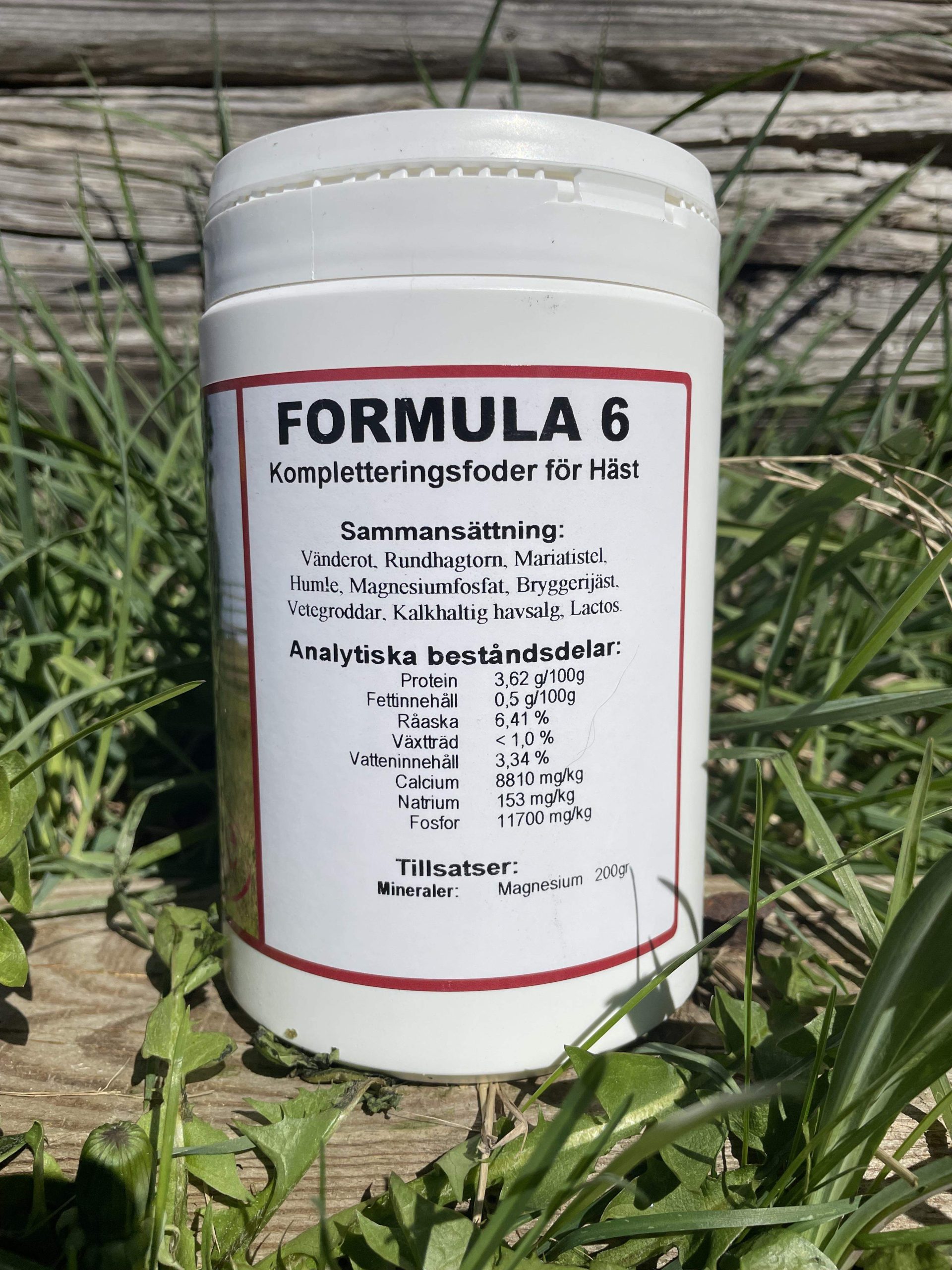 Formula 6 - Friskahästen