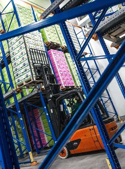 Ontdek ons verhaal | Fructa Servo