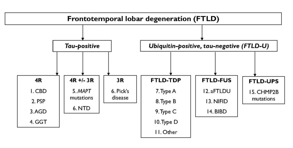 Pathology – FTD Talk
