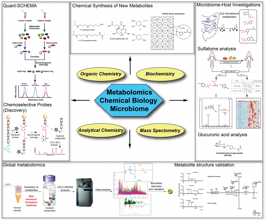 Research Projects | Globisch Laboratory