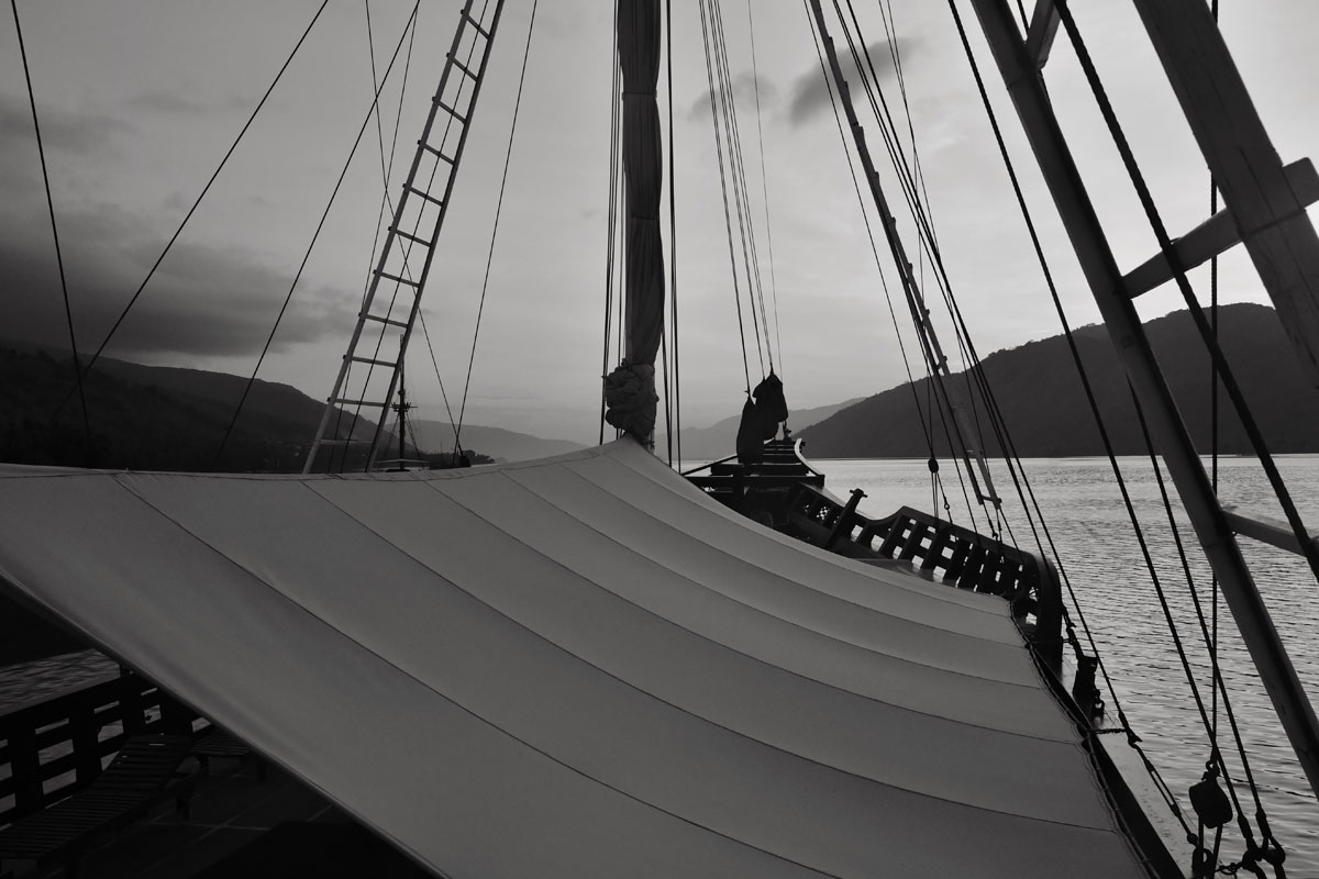 Startseite - Goldingo