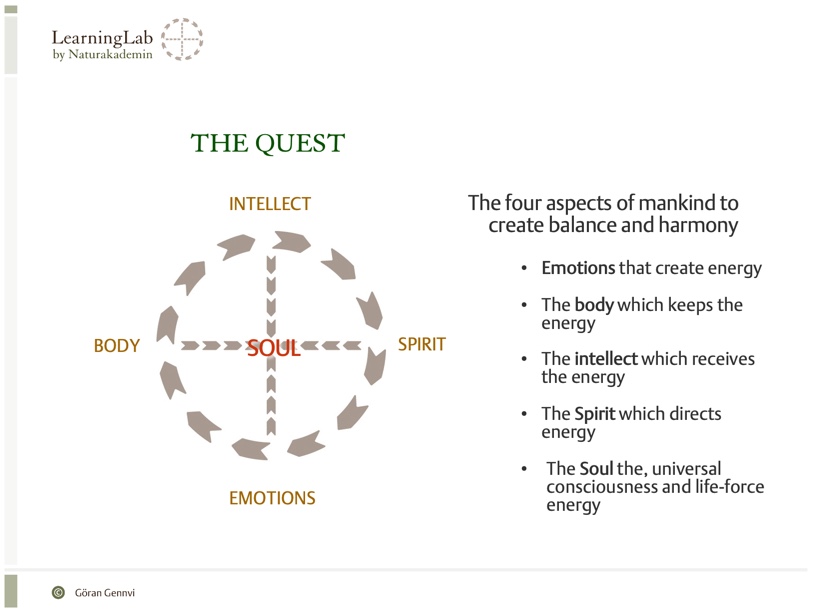 The Learning Wheels - Nature Academy by Göran Gennvi - Quests for ...