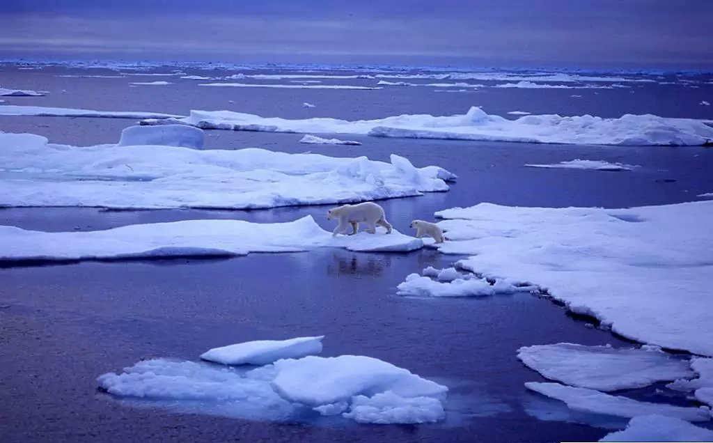 polarhistoria-fotosamling-2 | Grenna Museum