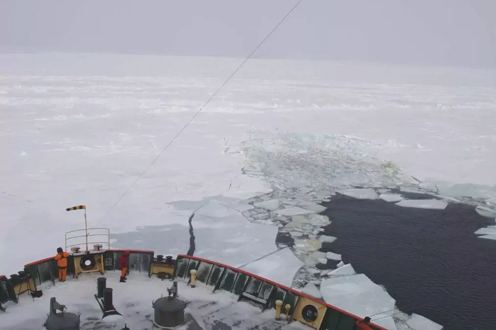 polaromraderna-5 | Grenna Museum