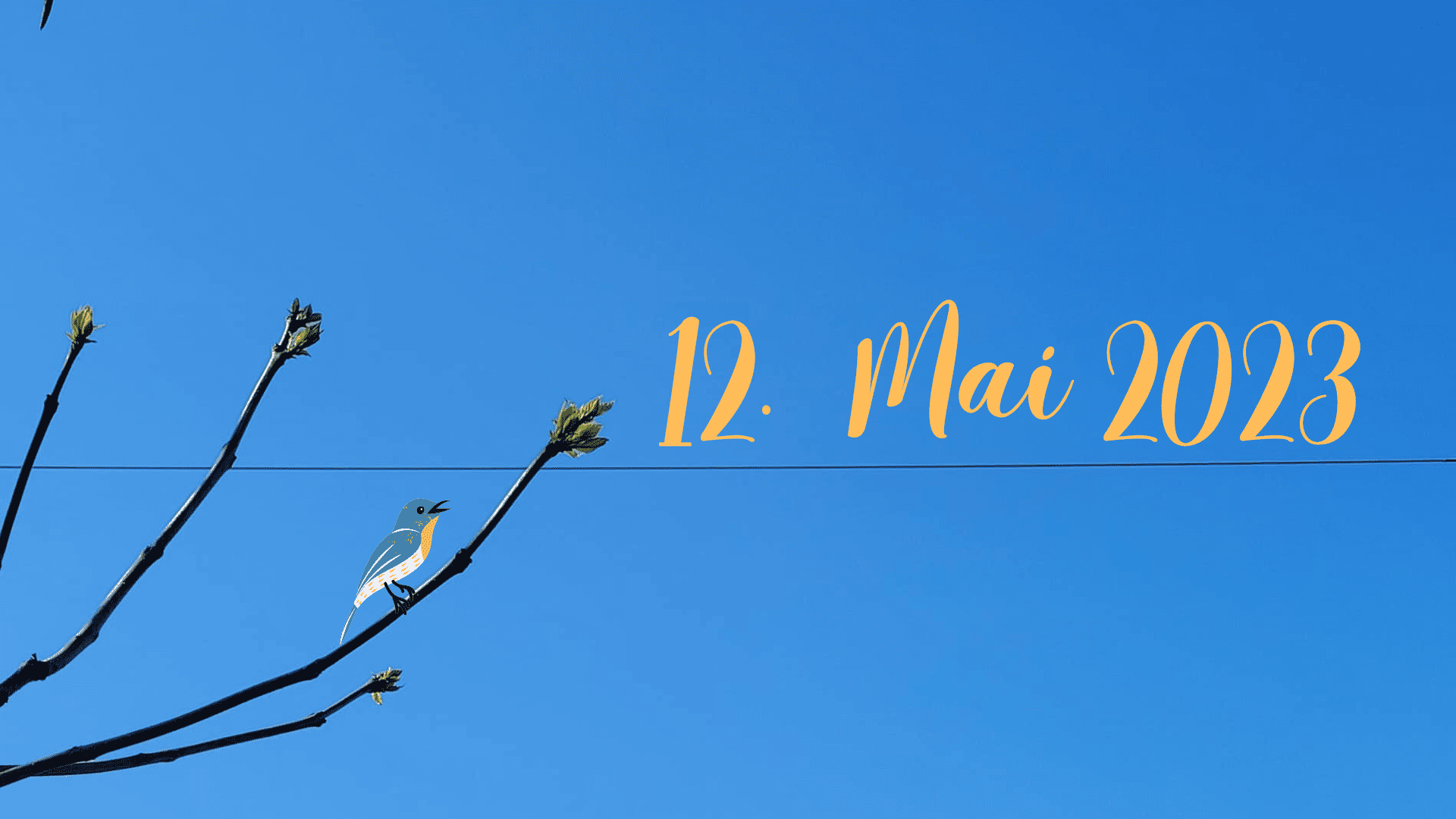 12 von 12: Mai 2023 - Gudrun Woite-Jeneck