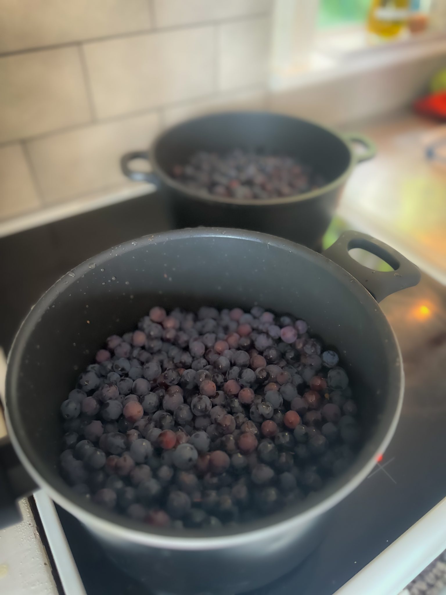 Odla Vindruvor - Recept På Saft Från Vindruvor I Trädgården!