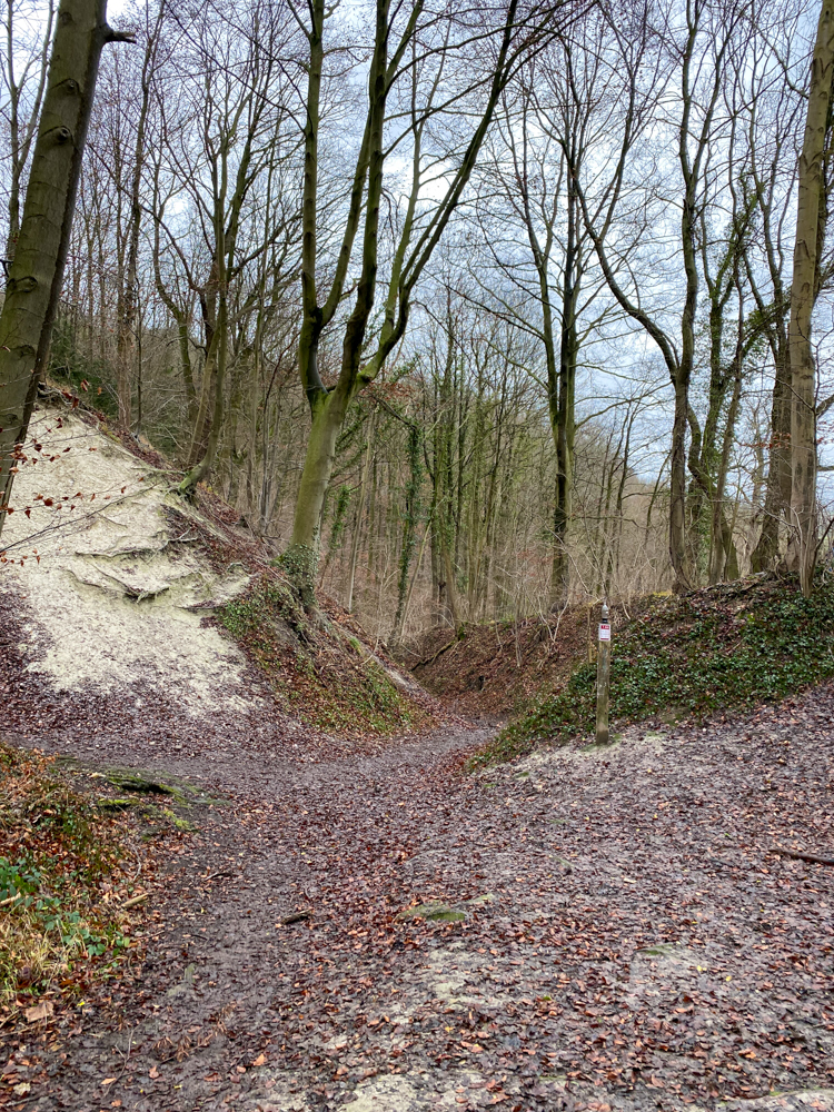 Wandeling in Teuven. Genieten van de prachtige natuur - GunDisCover