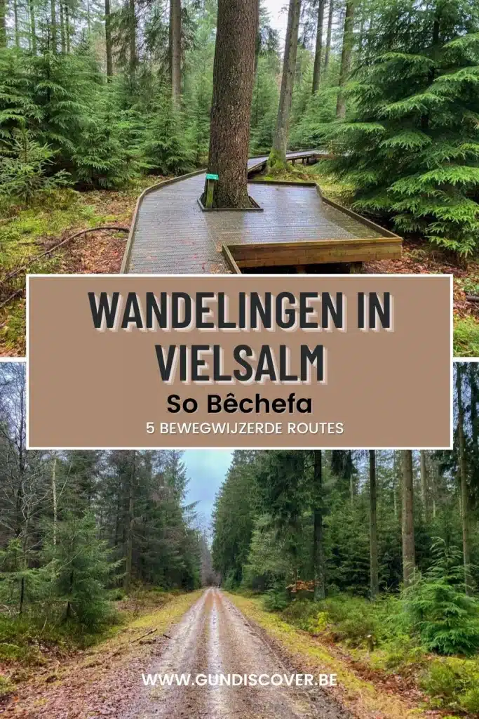 Magische wandelingen in Vielsalm. Ontdek 5 So Bêchefa-routes - GunDisCover