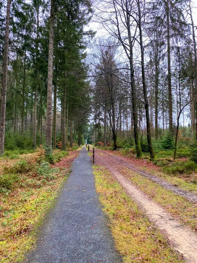 Magische wandelingen in Vielsalm. Ontdek 5 So Bêchefa-routes – GunDisCover