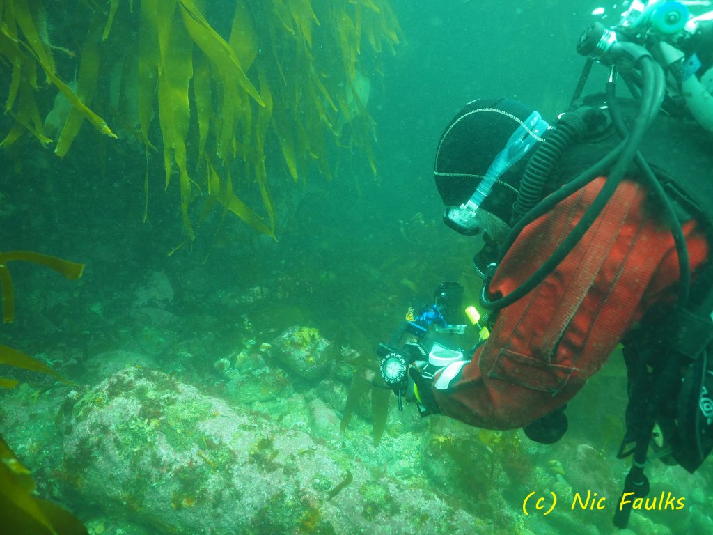 Dive Trail - Gun Rocks: History and Dive Trail