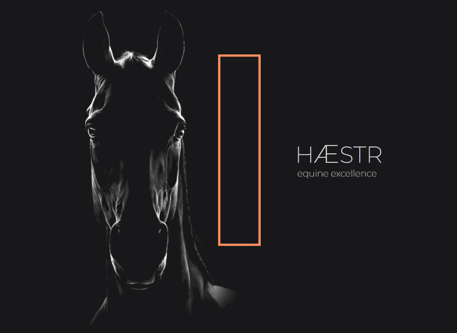 HÆSTR