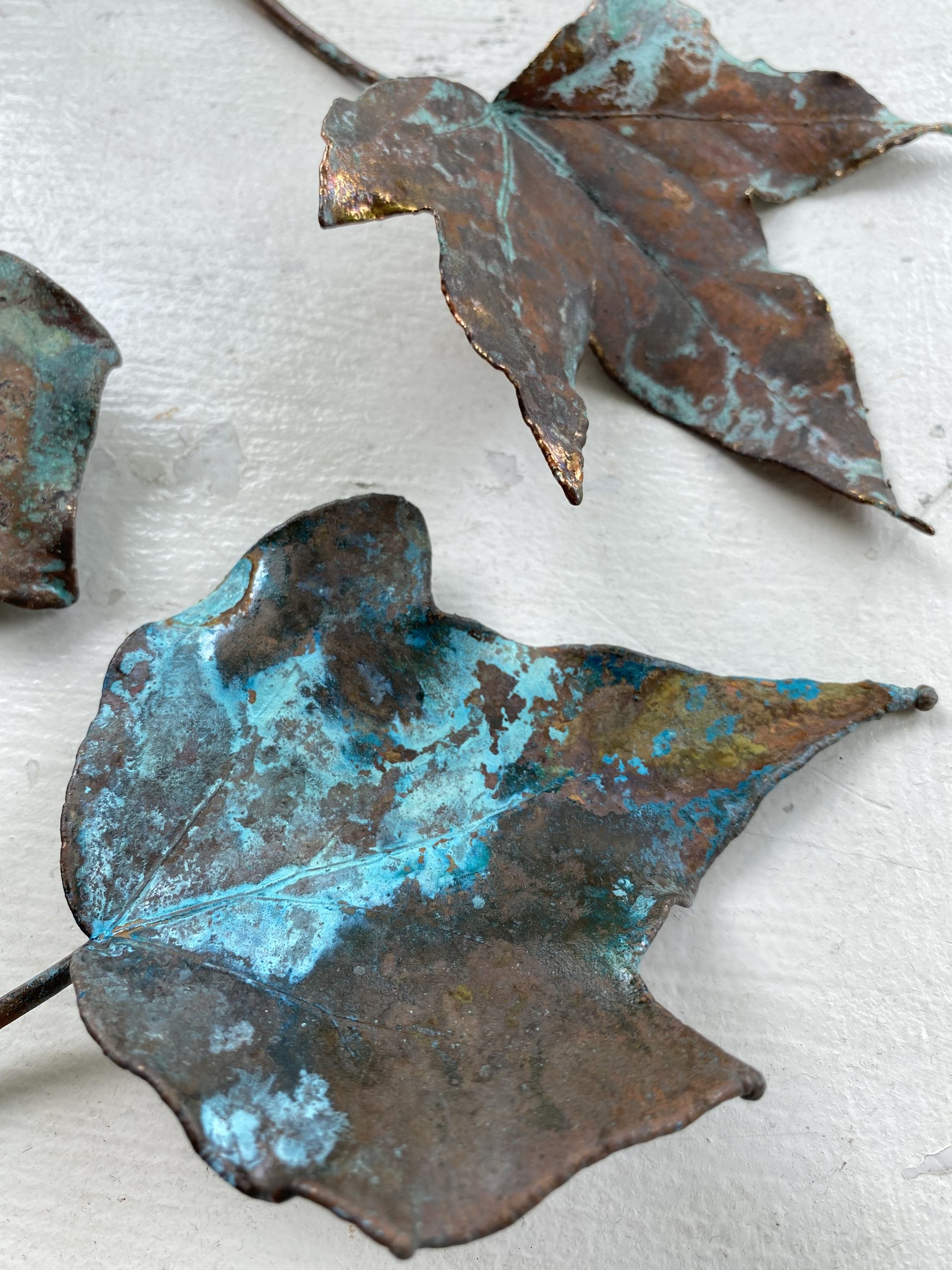 Forkobret efeu/vedbenblad – Havens Blikfang