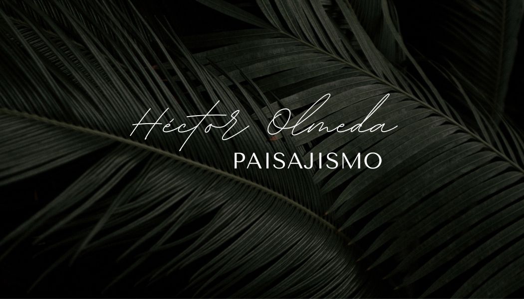 Paisajismo | Héctor Olmeda Paisajismo