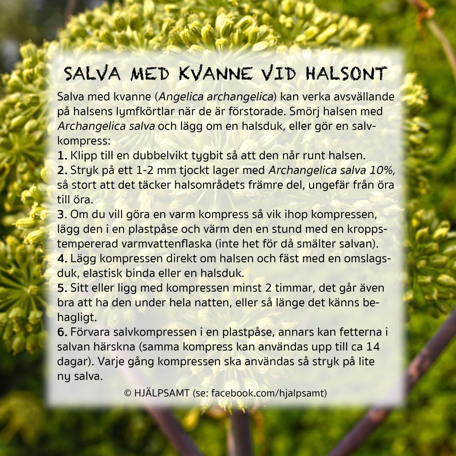 HALSONT – HJÄLPSAMT