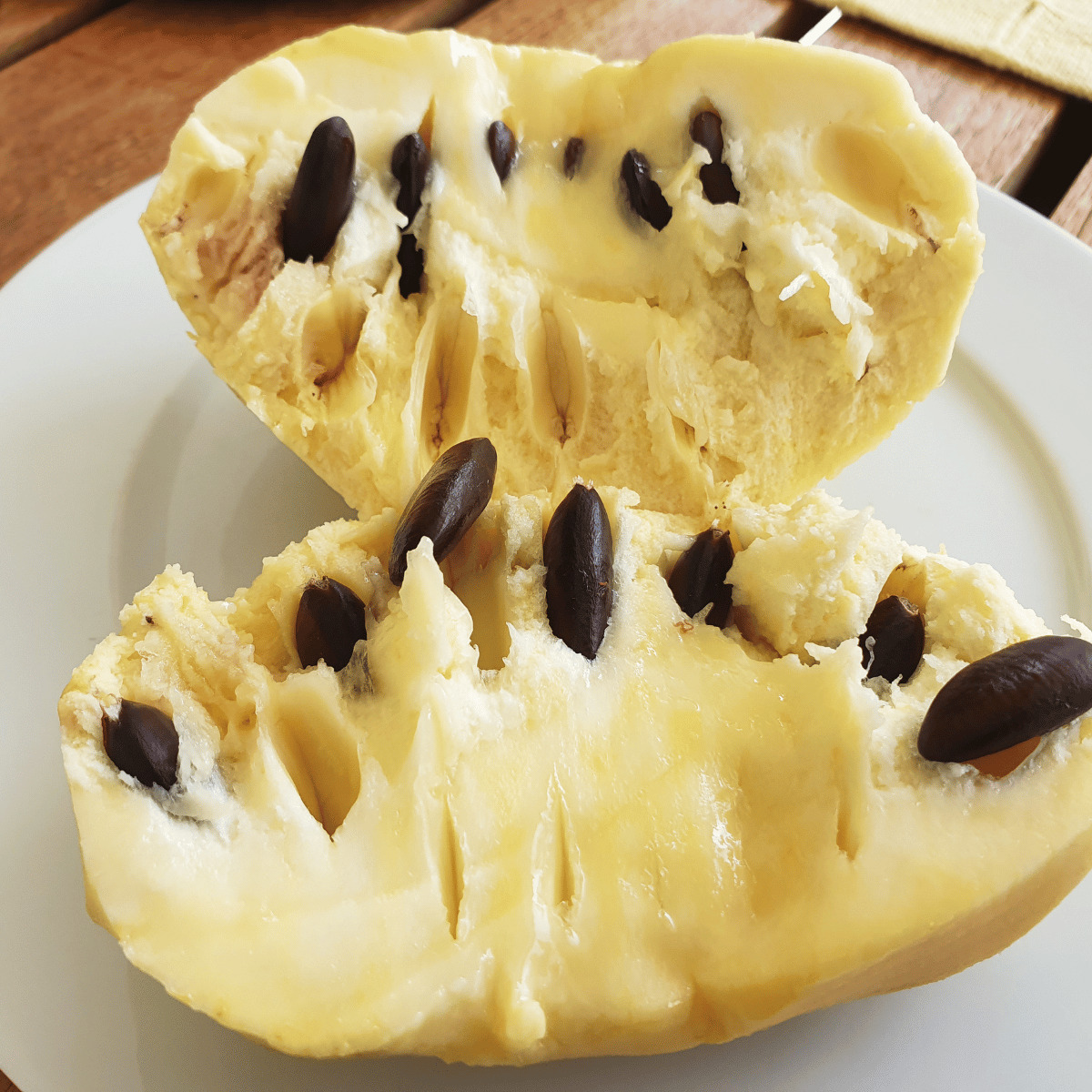 Plant Profile: Pawpaw – The Forgotten Fruit of America's Heartland