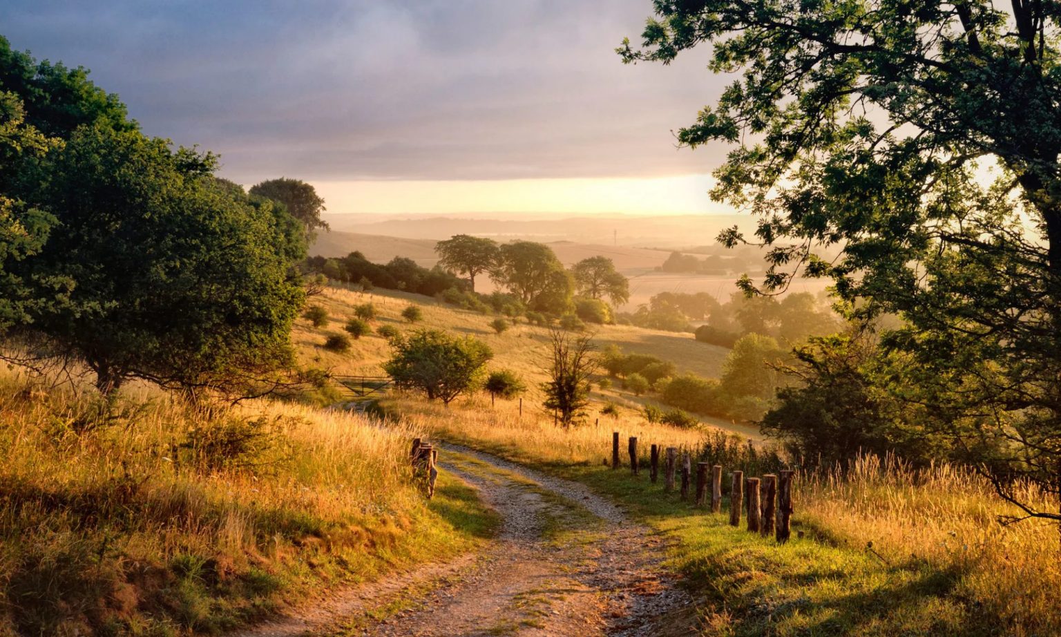 chilterns-aonb - HUGH CHRISTENSEN