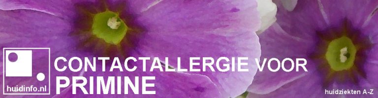 Allergie voor primine | info van de dermatoloog