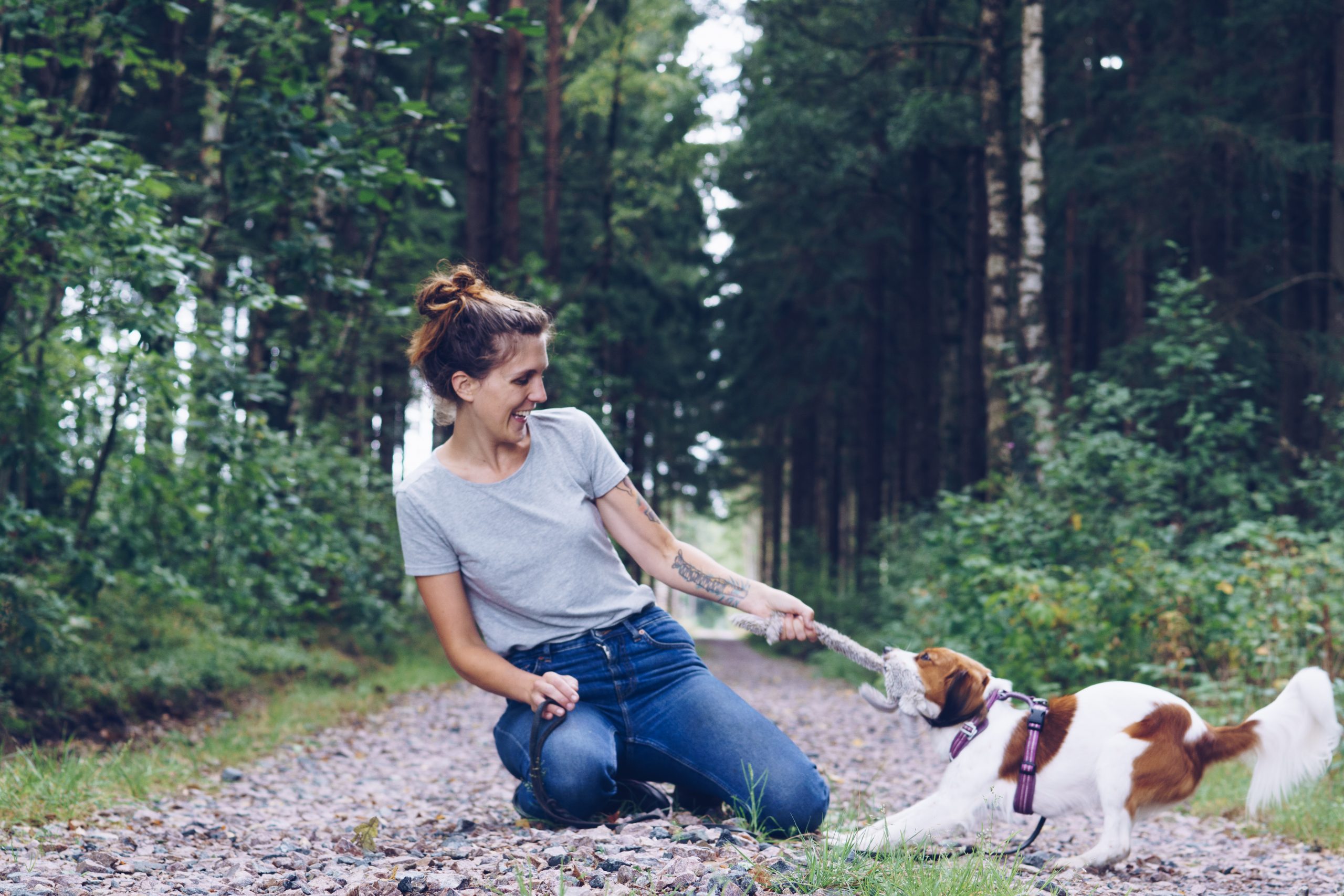 FÖRSTA TIDEN MED VALP - GUIDE & TIPS FÖR OPTIMALT MYS • HUNDTRÄNAR-LILLY