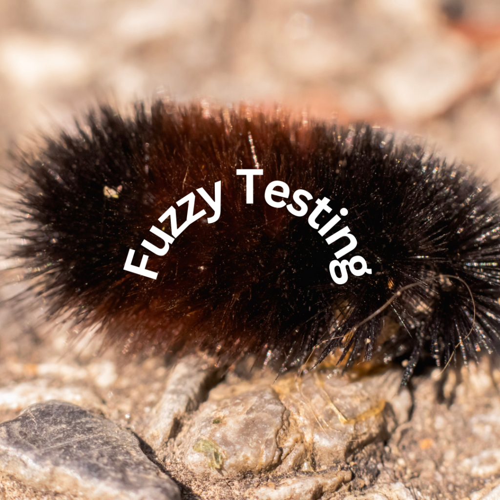 Fuzzy Testing and AFL - hyper-ict.com