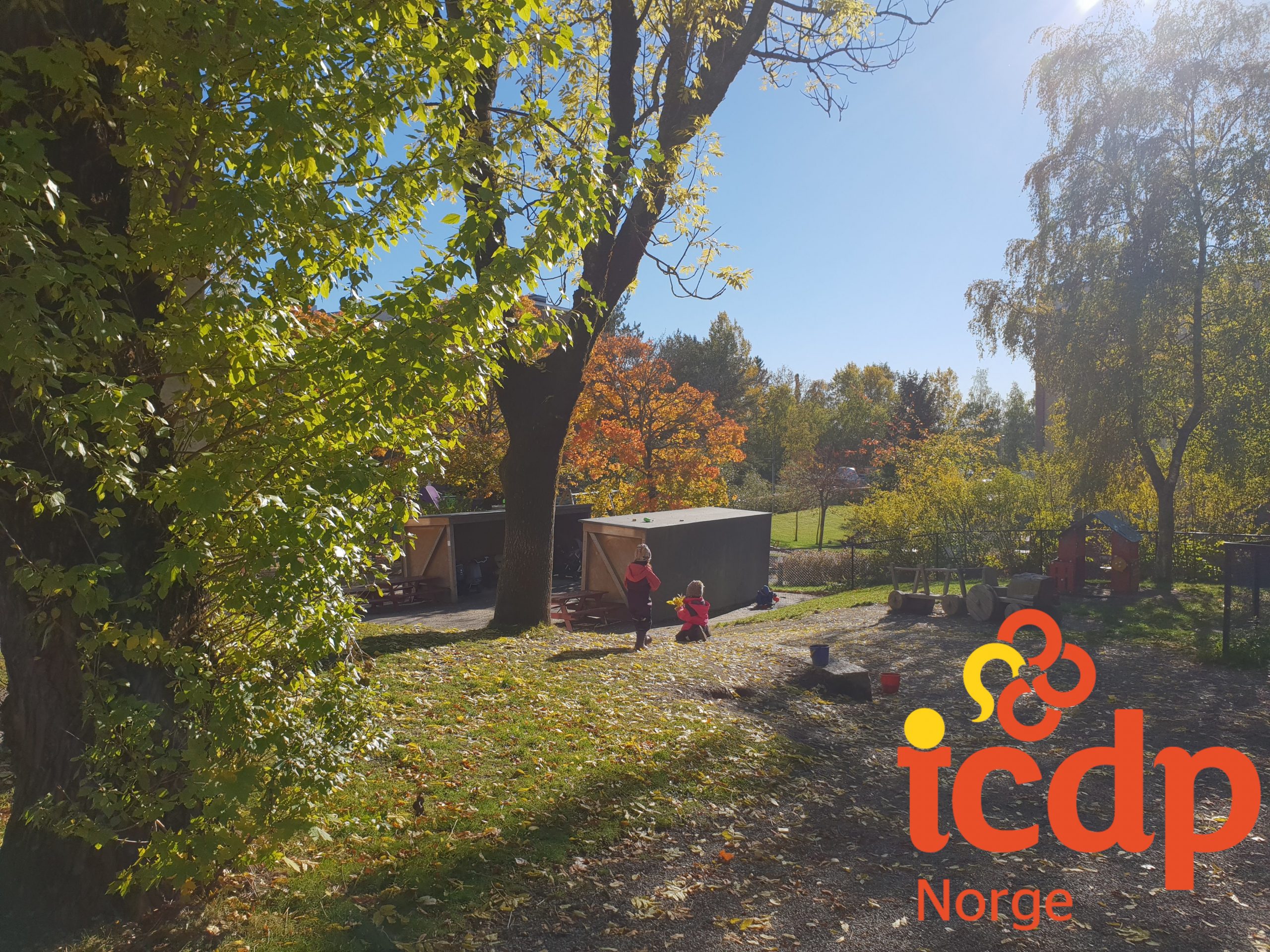 Hva er ICDP? – ICDP Norge