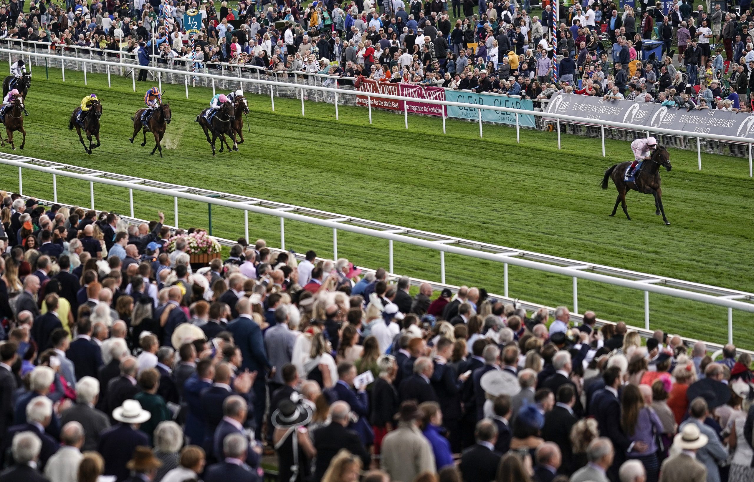How to Place a Tote Bet: A Comprehensive Guide for Beginners