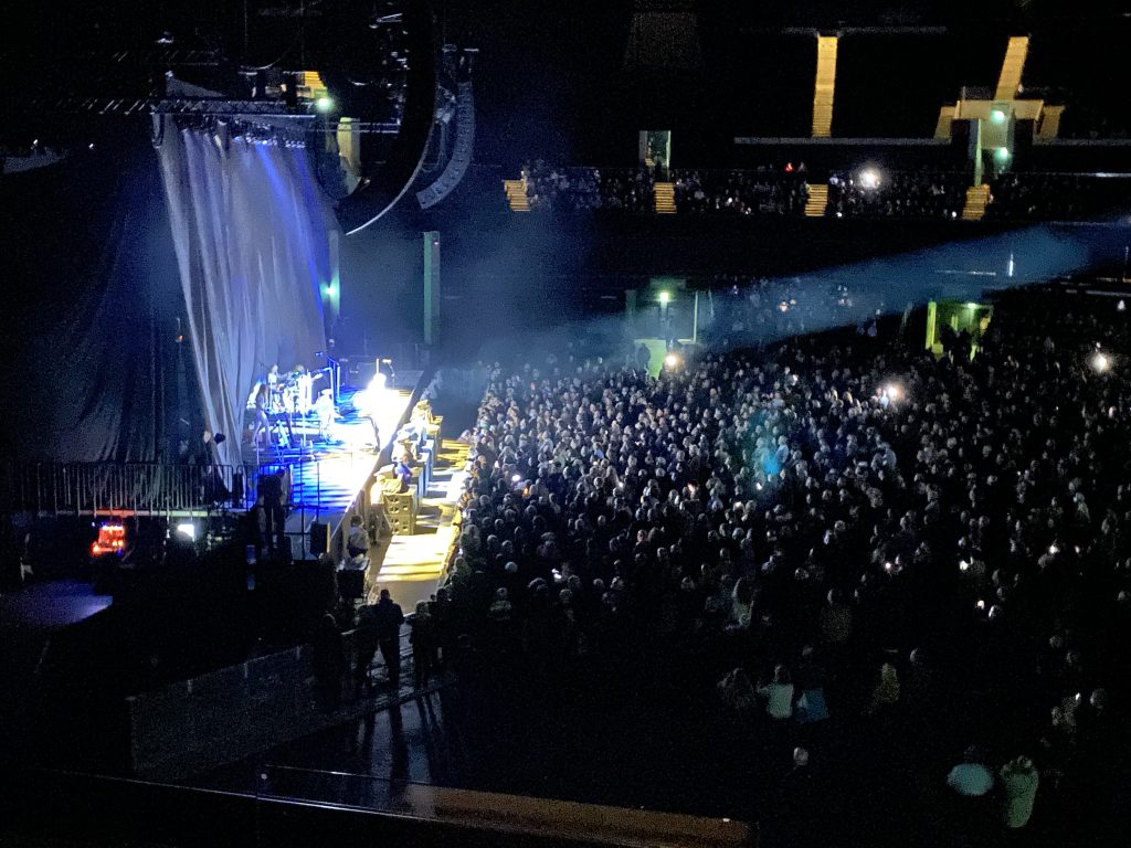 Gig Photos - In The Crowd