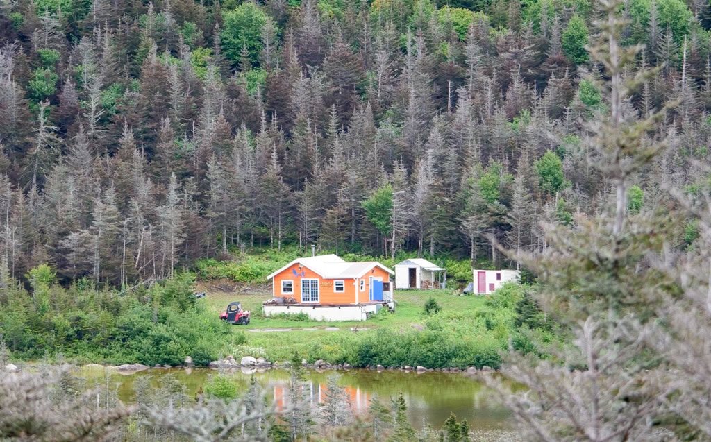 The Ultimate 7-Day Road Trip to Newfoundland Itinerary