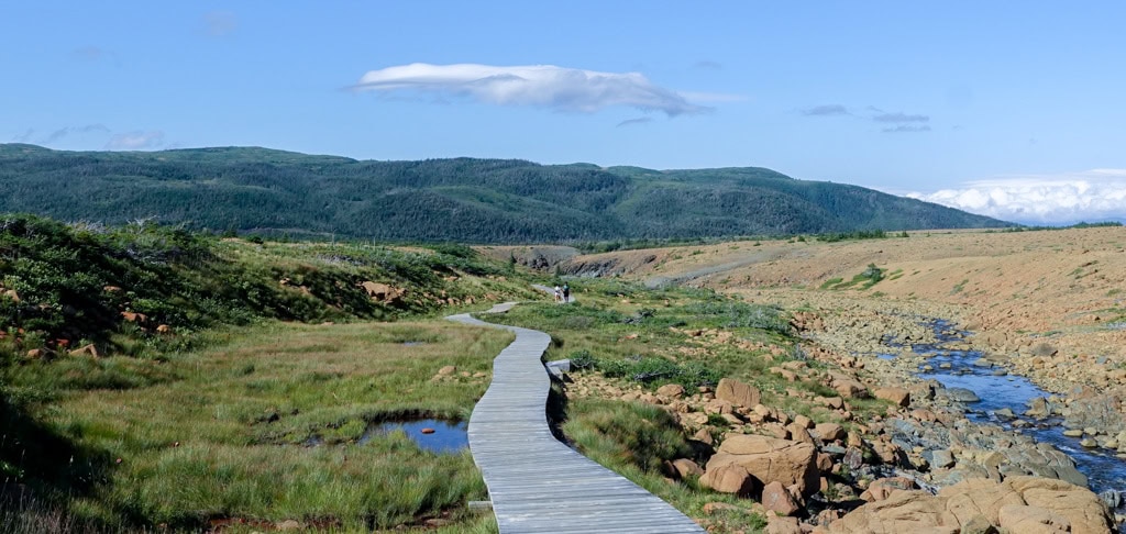The Ultimate 7-Day Road Trip to Newfoundland Itinerary