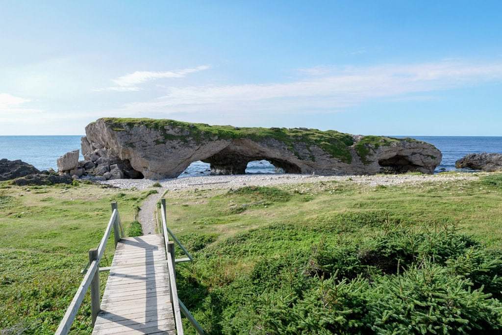 The Ultimate 7-Day Road Trip to Newfoundland Itinerary