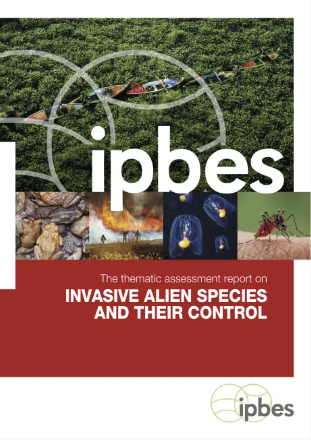 International IPBES reports – IPBES in DENMARK