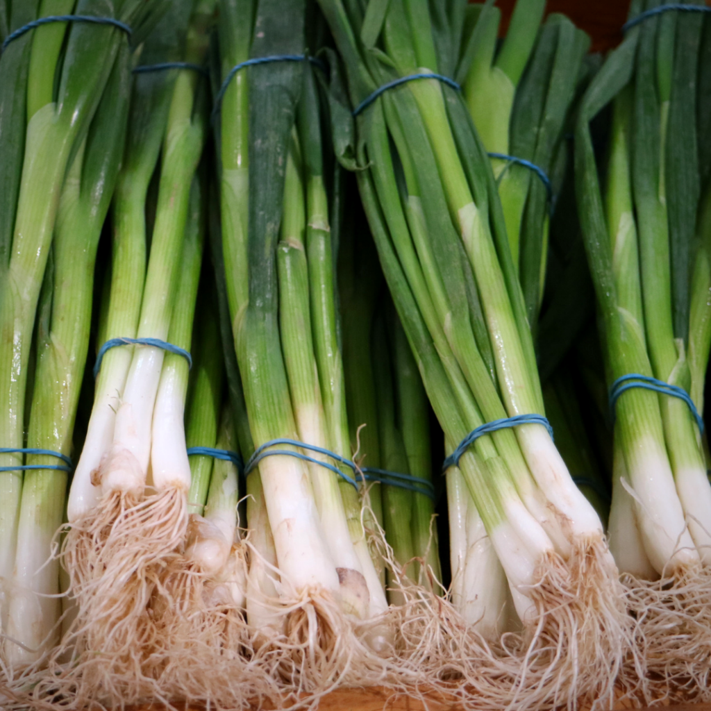 Spring Onion – Indian Food Store – Grocery Store @ Copenhagen
