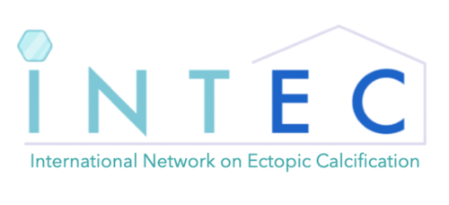 2024 INTEC annual meeting – INTEC