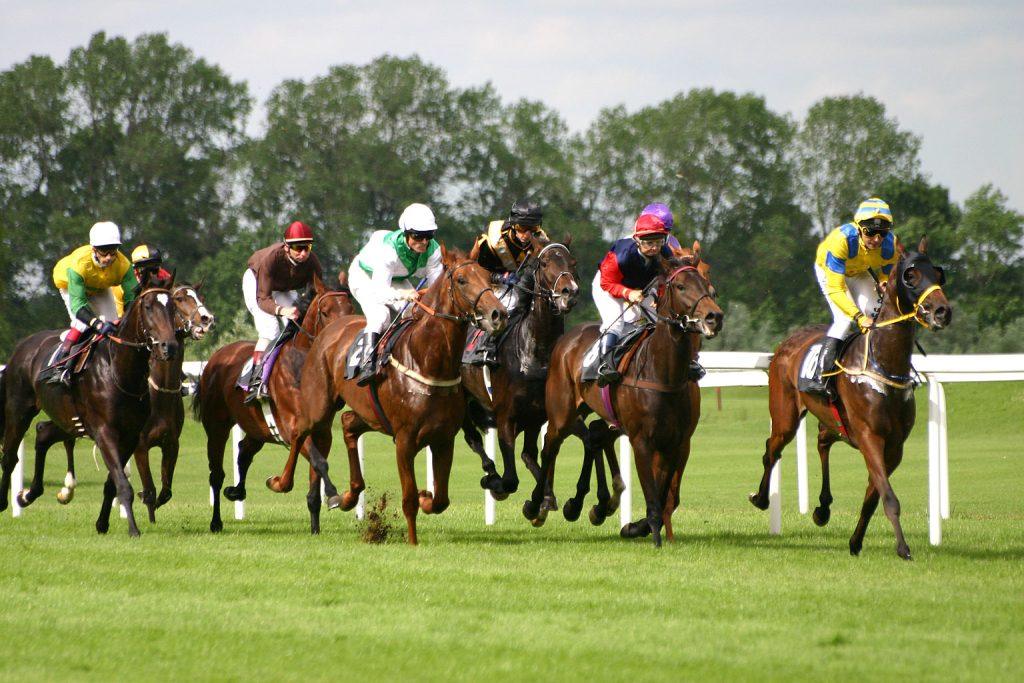 What to Expect From UK Horse Racing? - Jackpot Bet Online