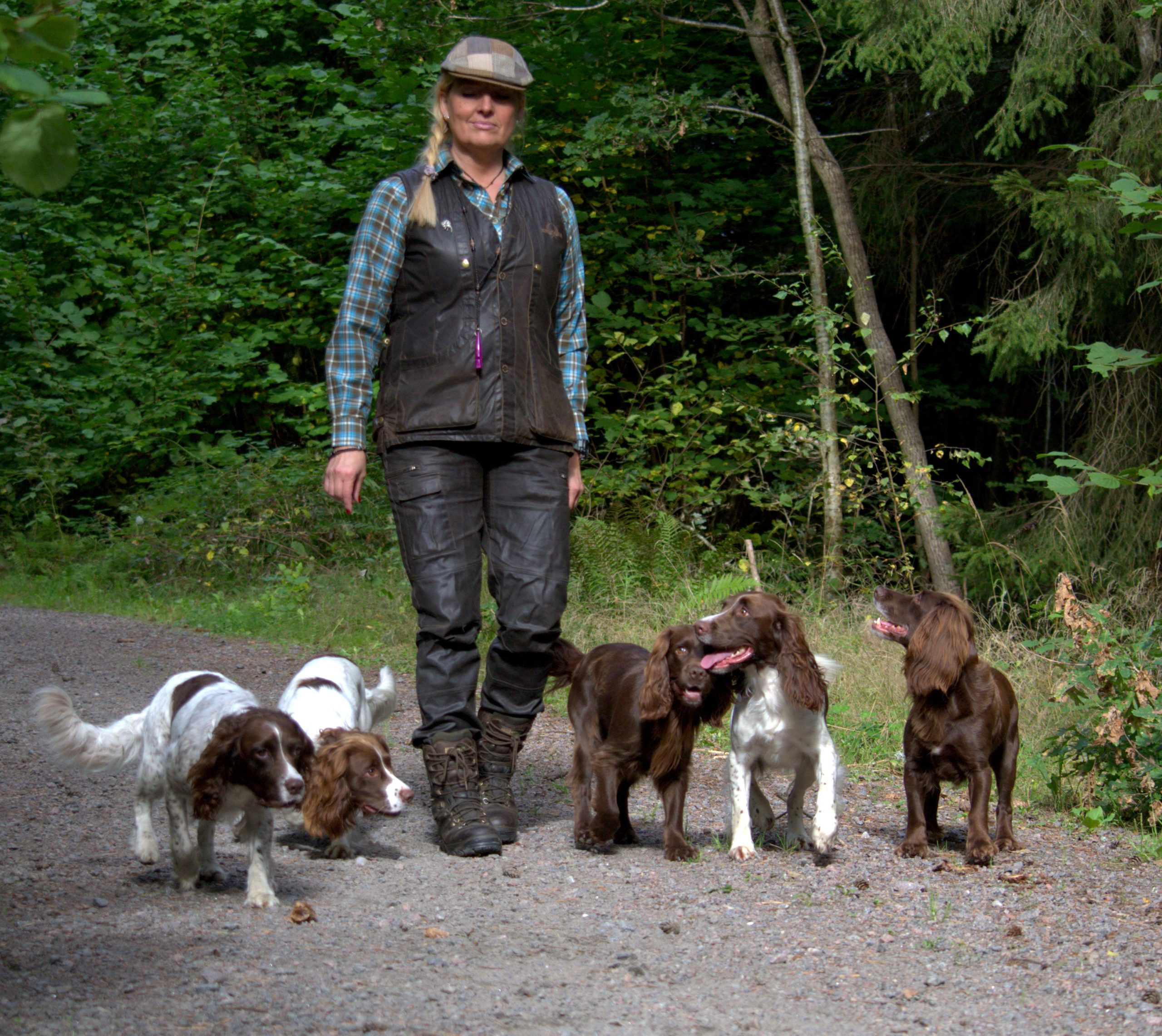Slånsnårets Kennel – Jaktspaniels med fart och stil