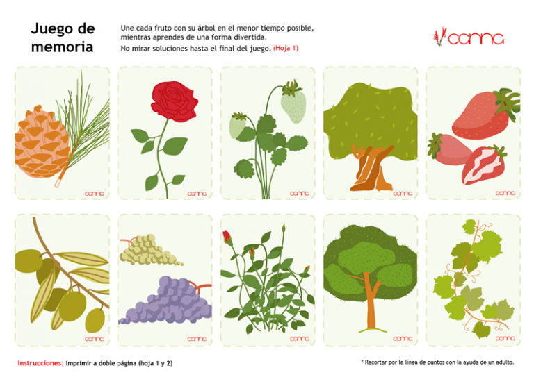 Memory con plantas I. Descargable gratuito - Jardineria Canna