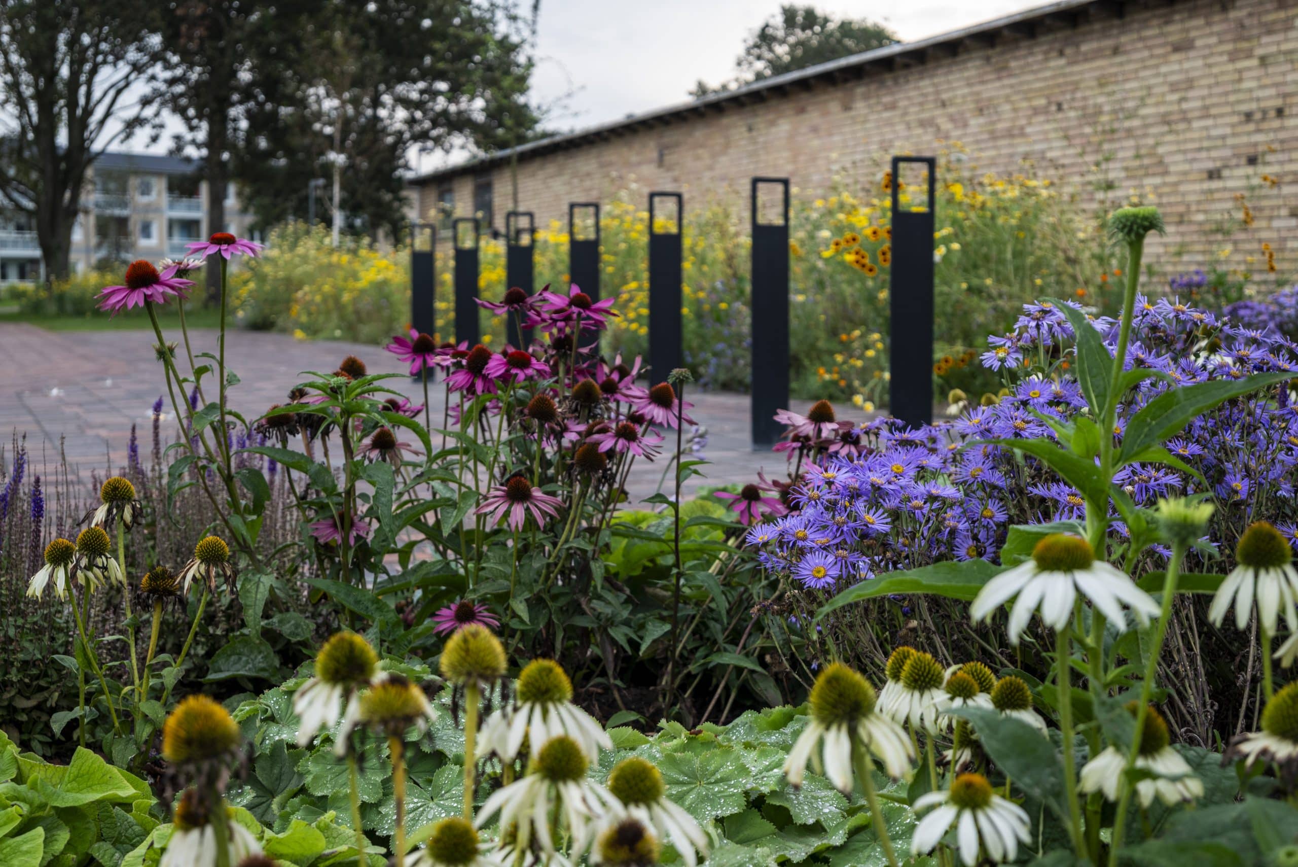 Den Grønne Rute - Jessing