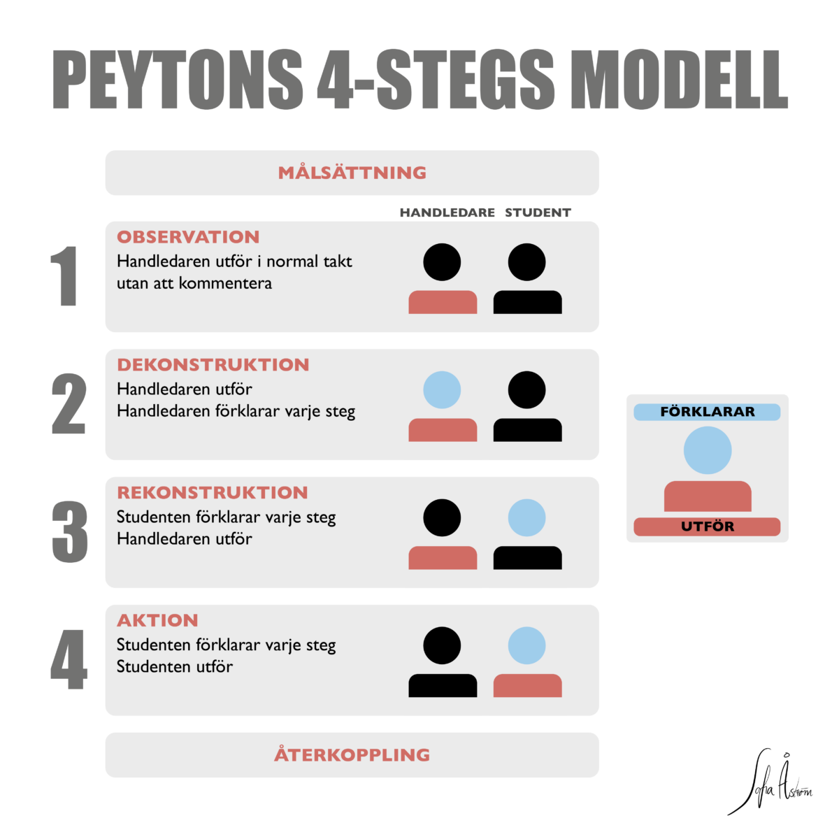 Modell Peytons – fyra steg för färdighetsträning - Klinisk handledning