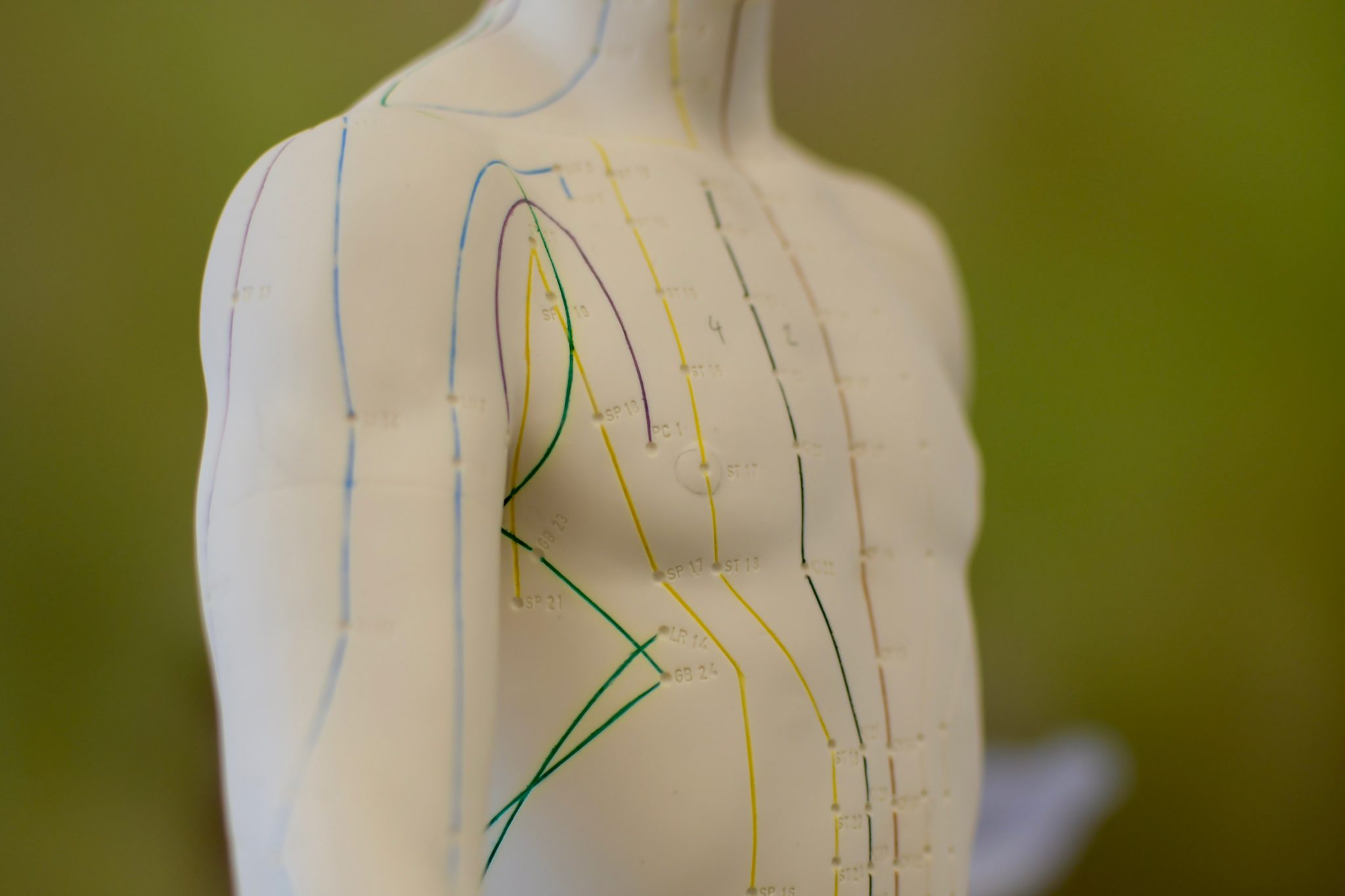 online kursus behandling via meridian systemet – Kropsterapeuterne online kursus behandling via meridian systemet – Kropsterapeuterne