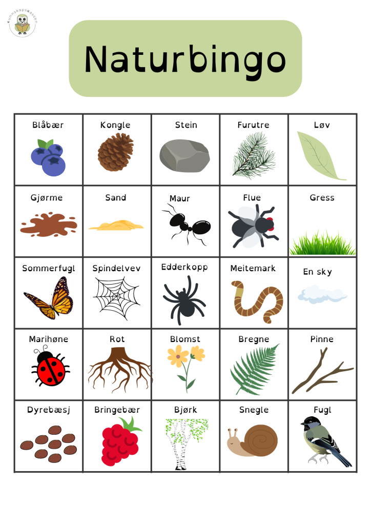 Naturbingo | Kunnskapskassen