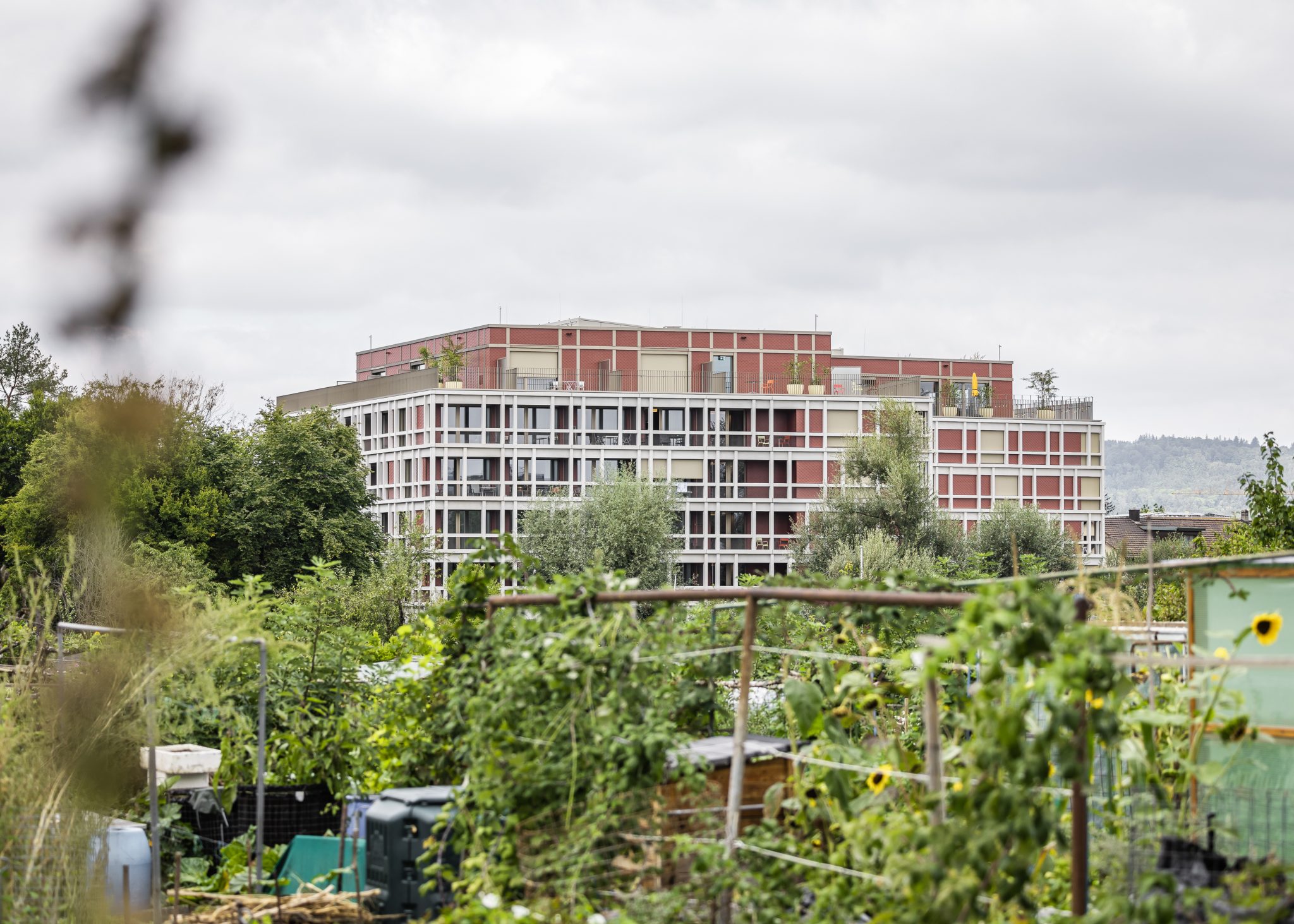 Alterszentrum Mathysweg – al fotografie