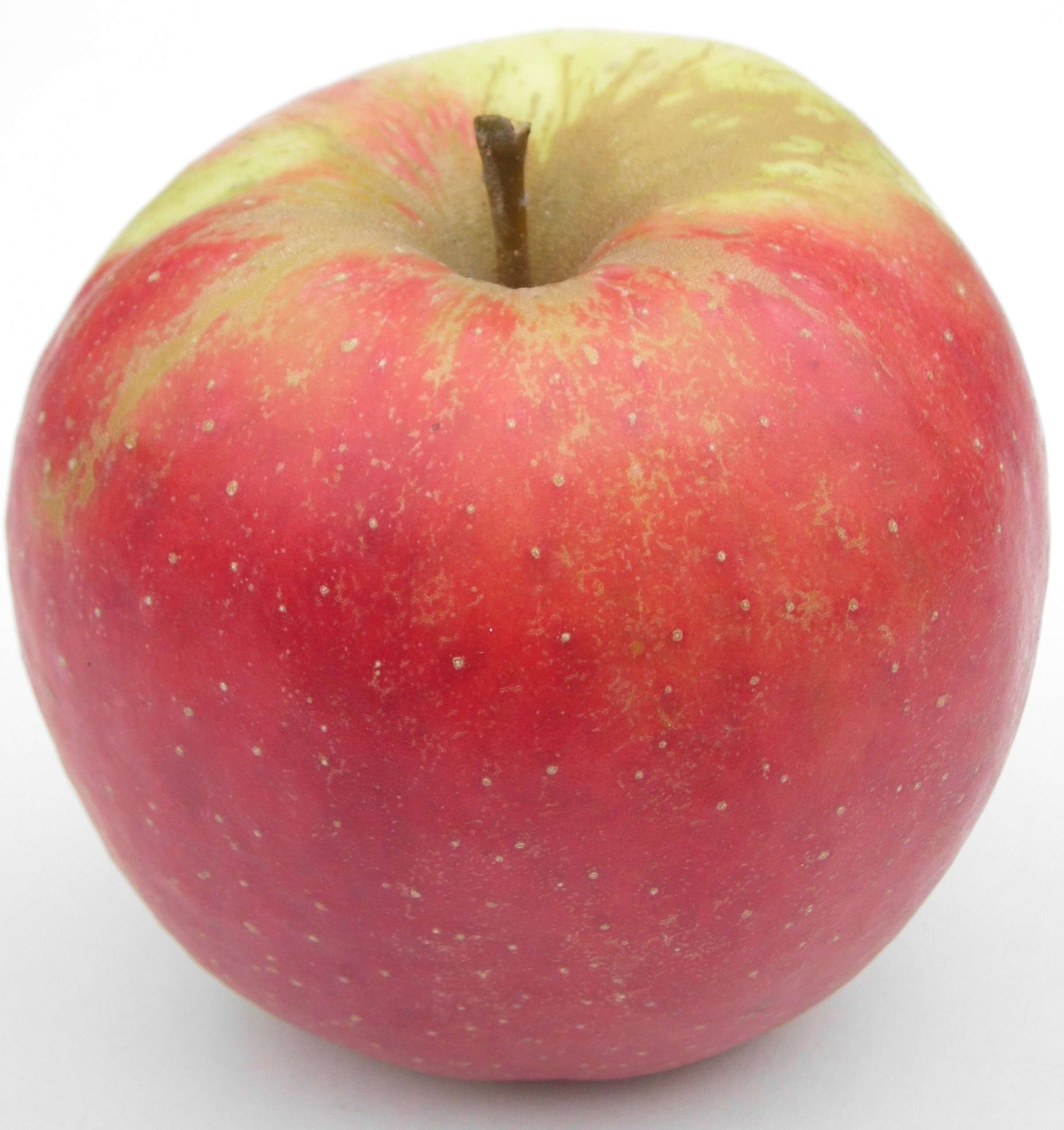 Pommes variété de saison (kg) - Le potager du bien manger