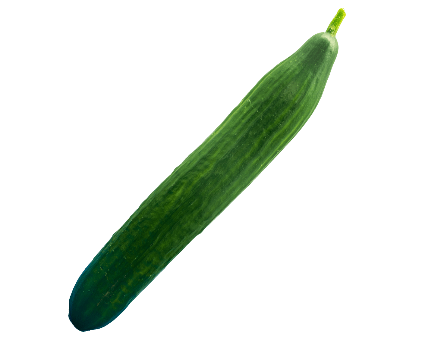 Concombres (pièce) - Le potager du bien manger
