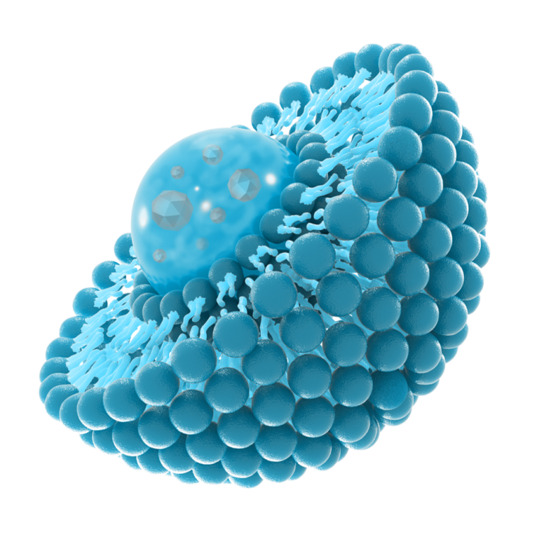 Lipo Science Laboratory – Scientists in liposome technology