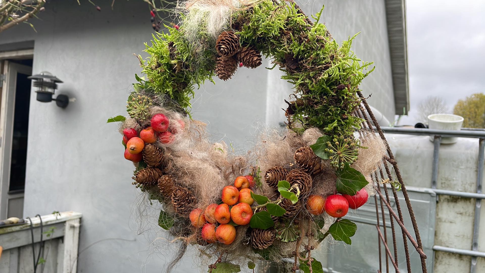 Julepynt fra naturen - Livet på Egegaarden