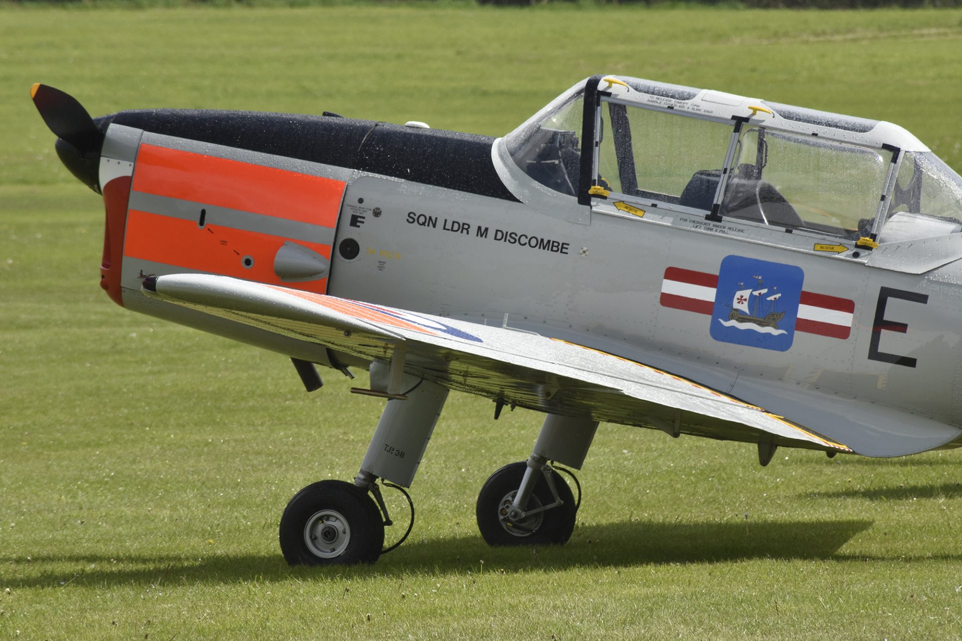 The de Havilland Chipmunk celebrated – LSJ News