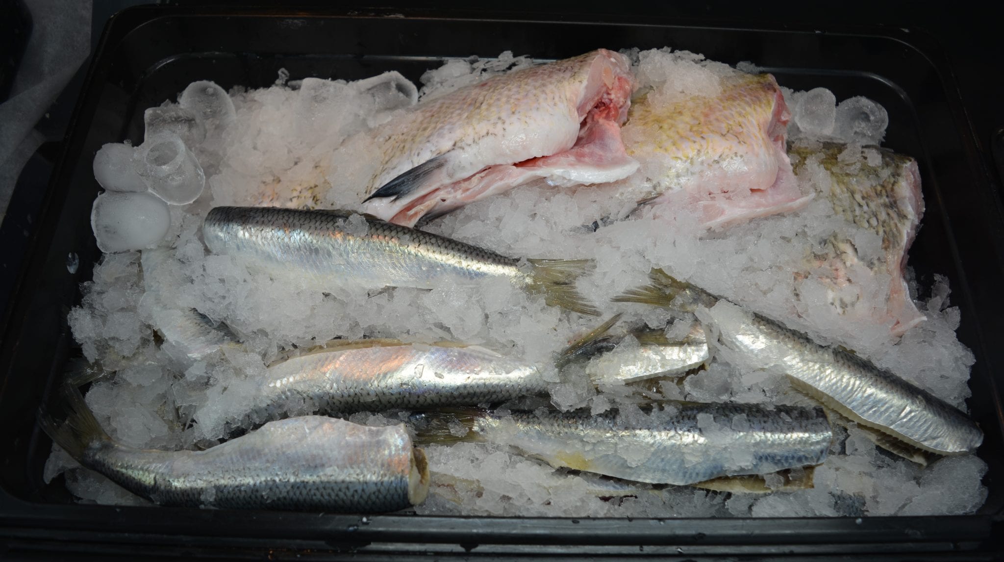 Fisk & Skaldjur – LUCU FOOD