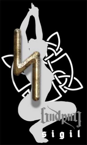 The Power of the Runes - Maier files Series