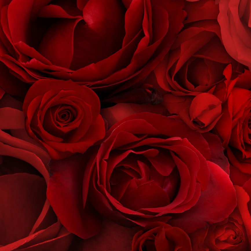 The Oxford Electric Bell – A Mystery That Defies Science - Maier files ...