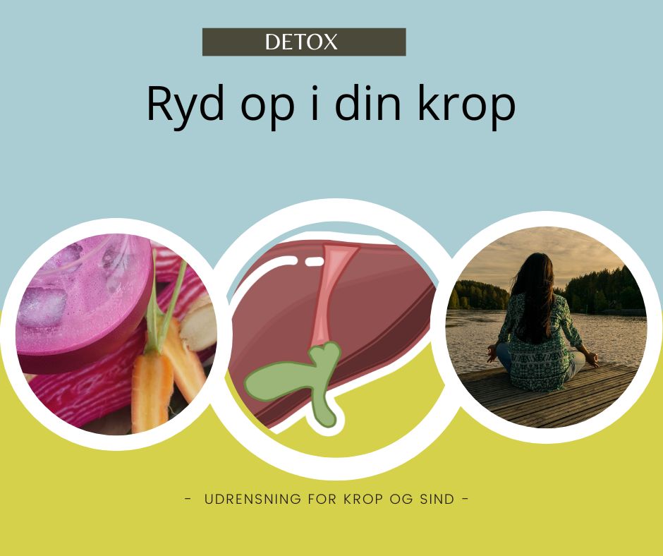 Ryd op i din krop - Marias Madunivers