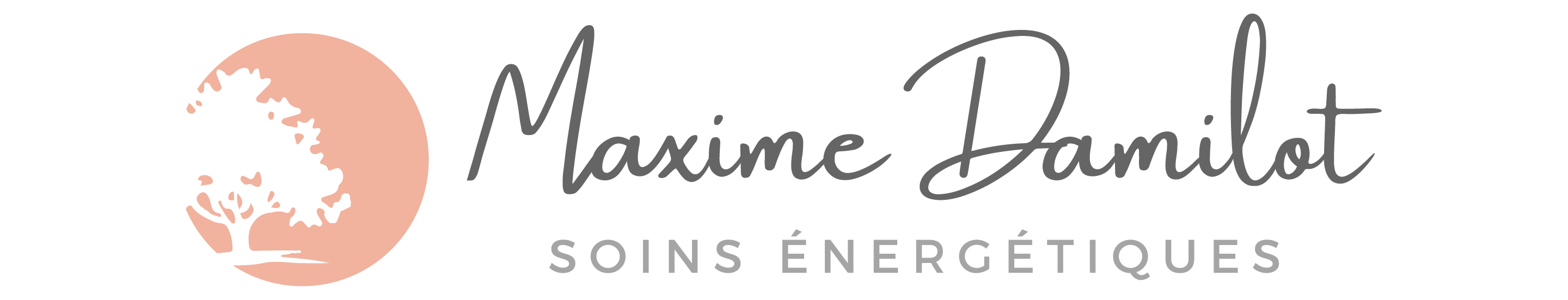 Accueil - Maxime Damilot - Praticien Access Bars